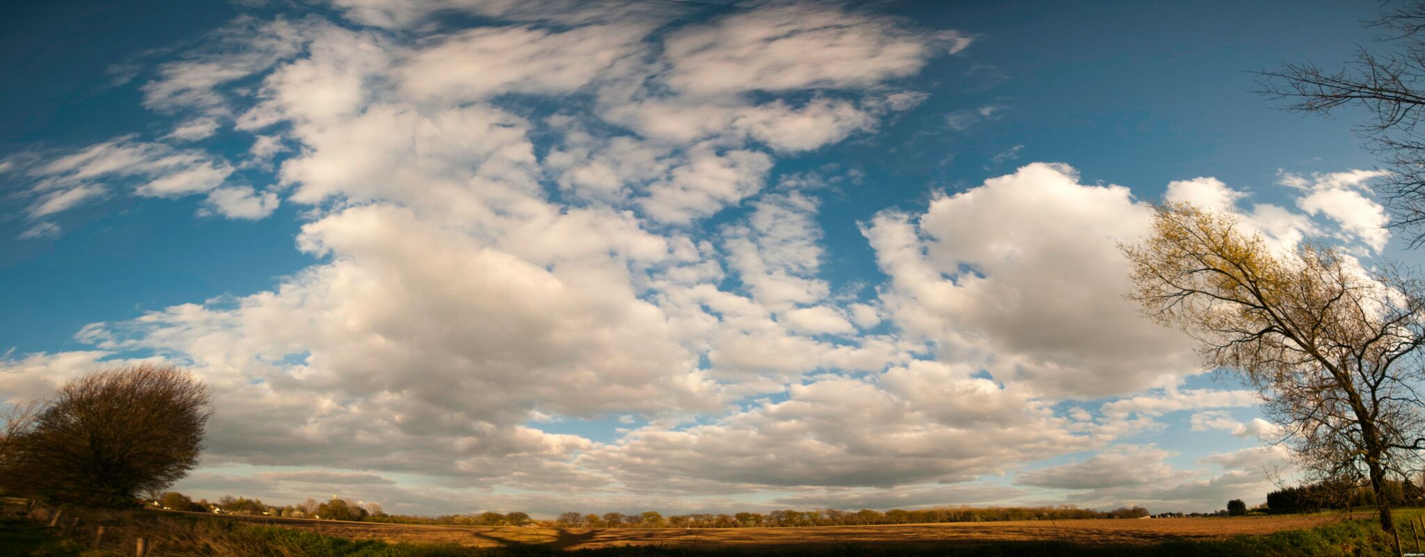 LMC Trucks Chevy Parts: Your Ultimate Guide to Restoring and Upgrading ...